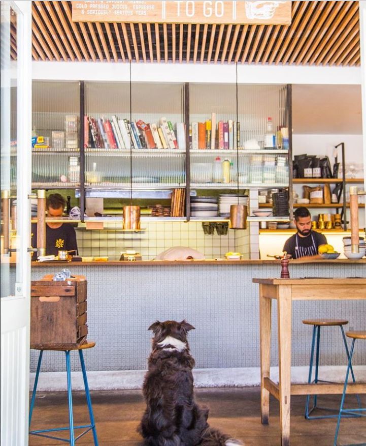 Our Favourite Double Bay Cafes/Restaurants | Hot Dog Yoga